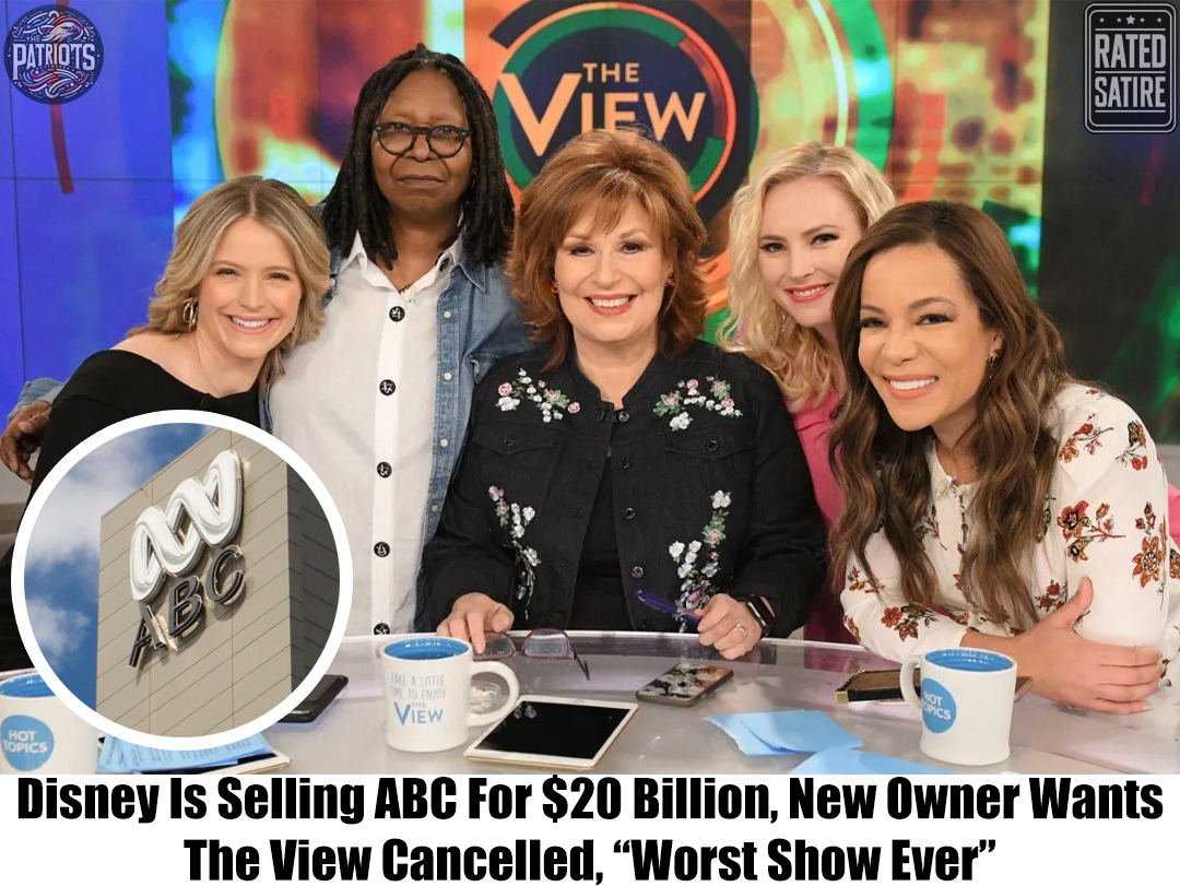 Disney Is Selling ABC For $20 Billion, New Owner Wants The View ...